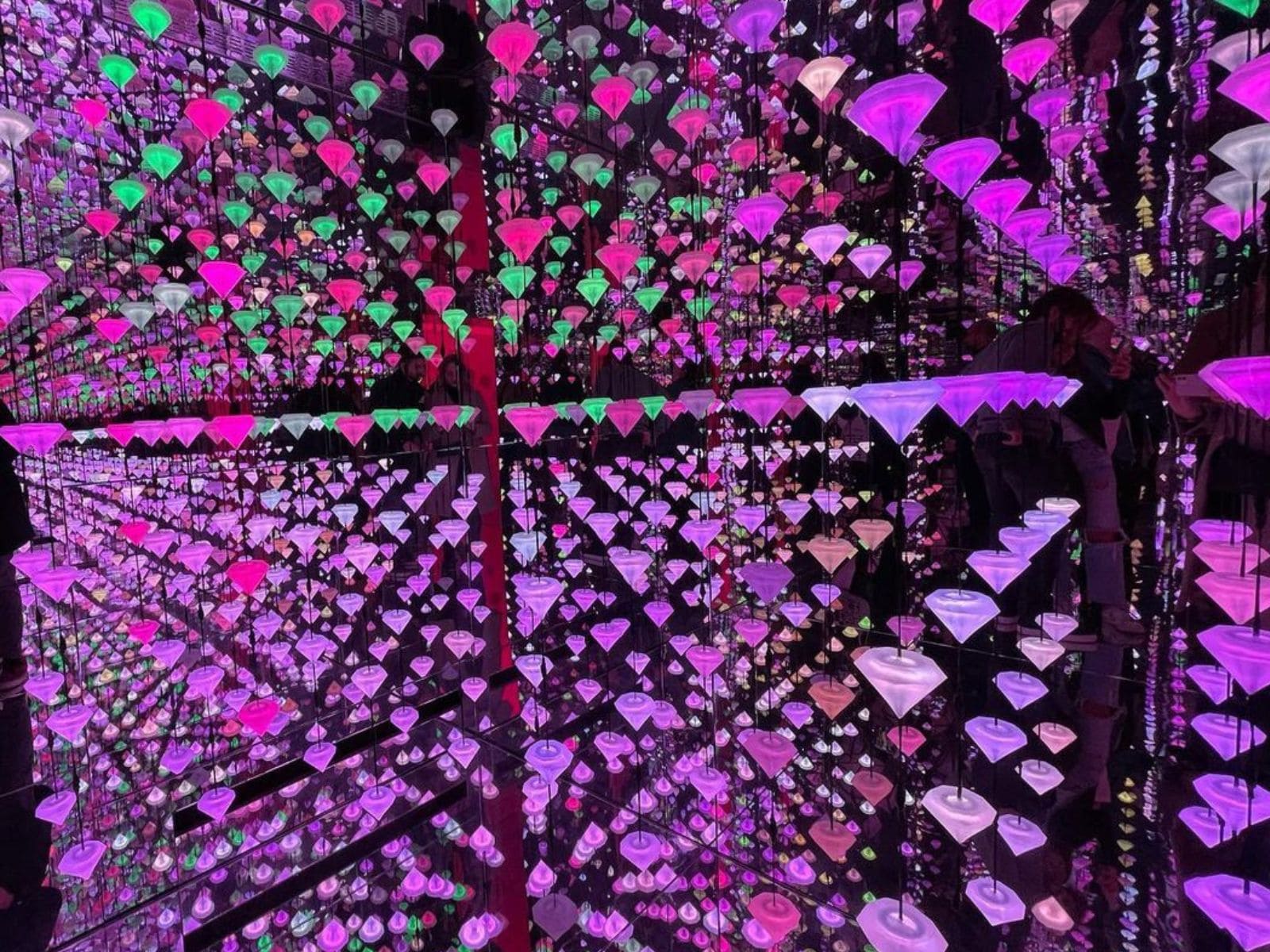 Moco Museum Amsterdam: Opere, Orari, Biglietti e guida 2025