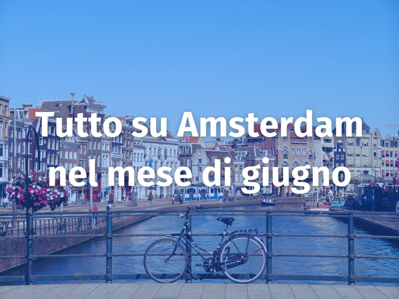 Amsterdam a Novembre 2025: 10 Cose da Fare, Meteo e Consigli